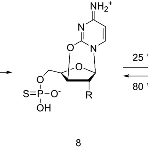A Possible Route To 3′ S5′ Cyclic Cmp Download Scientific Diagram