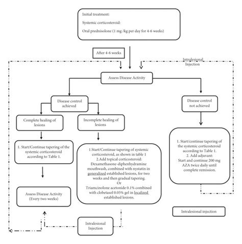 Flowchart Of The Treatment Protocol Download Scientific Diagram