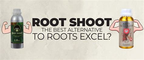 Root Shoot The Best Alternative To Roots Excel