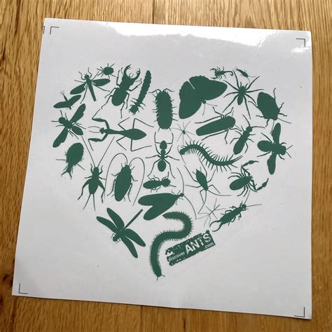 “bug Love” Sticker Discover Ants