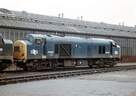 Class 23 D5909 Y Stratford 0573 Rpc164 Train