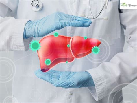 5 Incredible Ways Propolis Improves Your Liver Health