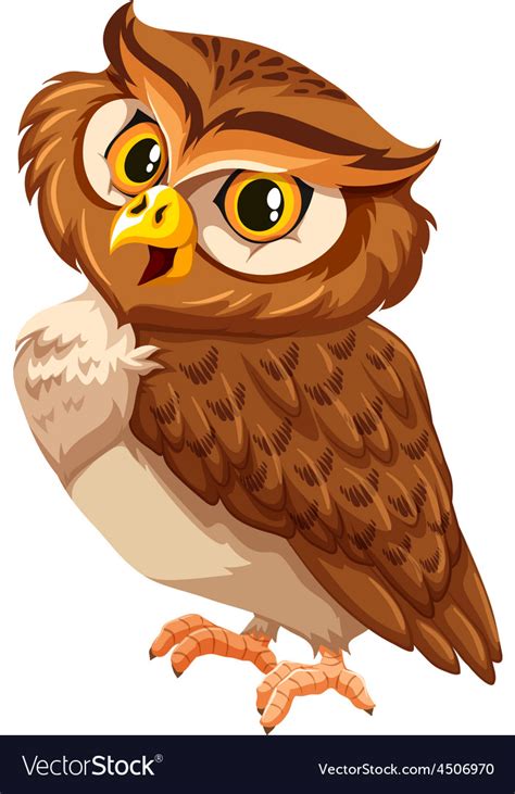 Brown Owl Royalty Free Vector Image Vectorstock