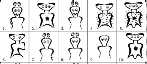 Taxonomy Classification And Dichotomous Keys Pamishan Creatures
