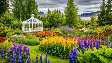 Explore Top Activities In Akureyri Your Guide