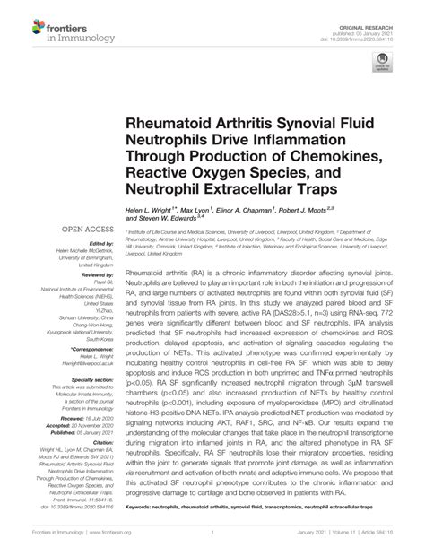Pdf Rheumatoid Arthritis Synovial Fluid Neutrophils Drive