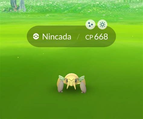 Pokemon Nincada