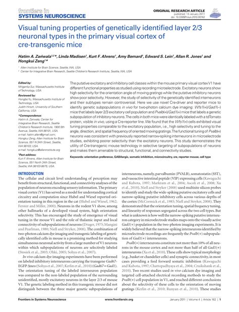 Pdf Visual Tuning Properties Of Genetically Identified Layer 2 3 Neuronal Types In The Primary