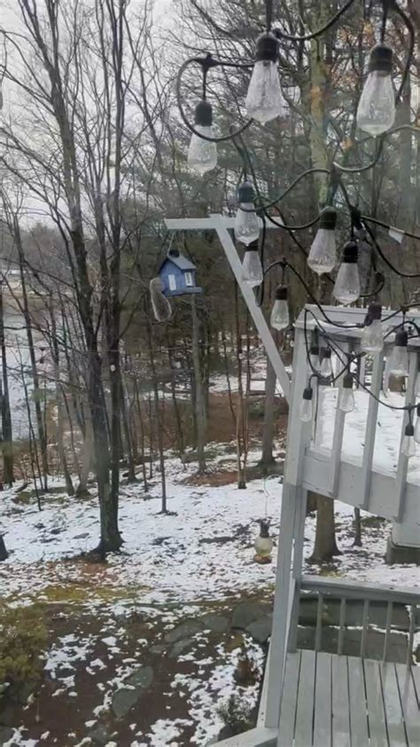 Bad Bad Squirrel Rcorgi