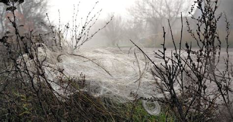 Bayou Renaissance Man A New Battlefield Problem Drone Fiber Pollution
