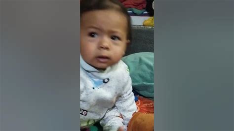 Playing With Catcus Youtube