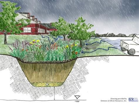 How Rain Gardens Complement Climate Victory Gardens Hubpages