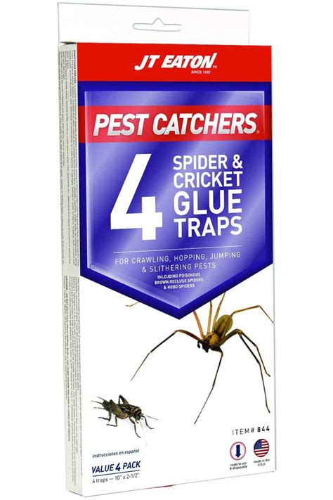 10 Best Silverfish Traps In 2022 You Should Know Of Insect Hobbyist