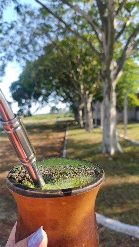 Pin De Ruth Viana De Oliveira Em Aleatórios Brincadeiras Com Bebidas