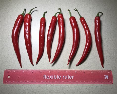 Help With Pepper Identification Rhotpeppers
