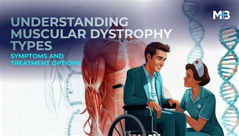 Understanding Muscular Dystrophy Types Symptoms And Treatment Options