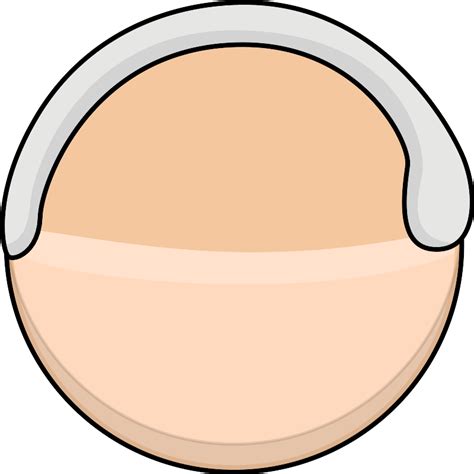 Zebrafish Larvae Shield Stage Figure Science Figures