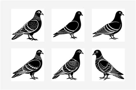 Square Template Premium Ai Generated Vector