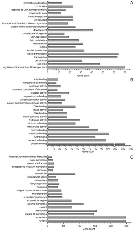 A Biological Process B Molecular Function And C Cellular Download Scientific Diagram