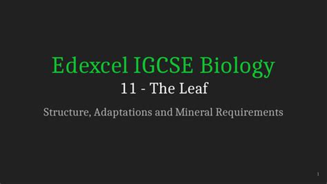 Edexcel Igcse Biology Lecture 11 The Leaf Teaching Resources