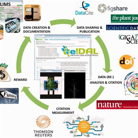The Data Publication Process This Flowchart Illustrates The Several Download Scientific