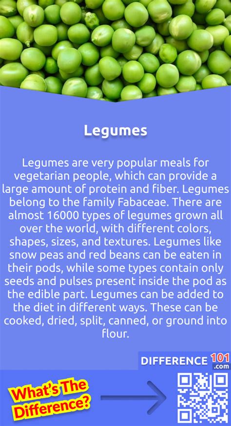 Legumes Vs Lentils 6 Key Differences Pros And Cons Examples