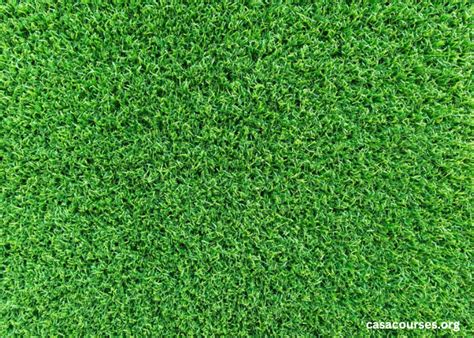 Turf Turf