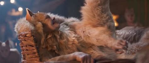 Judi Dench Regrets Not Filming More Sex Scenes