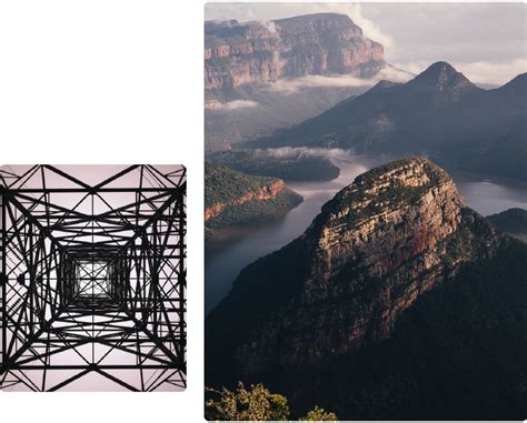 Expertise Illibrium Tech