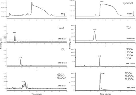 Total Ion Chromatogram Tic Single Ion Monitoring Sim At Mz 531