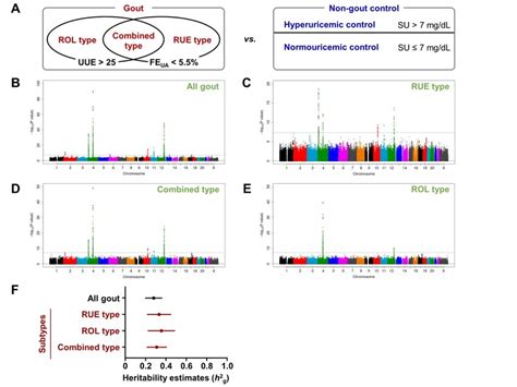 Overview Of The Results Of Meta Analyses And Snp Based Heritability