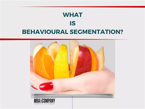 What Is Behavioural Segmentation Pdf