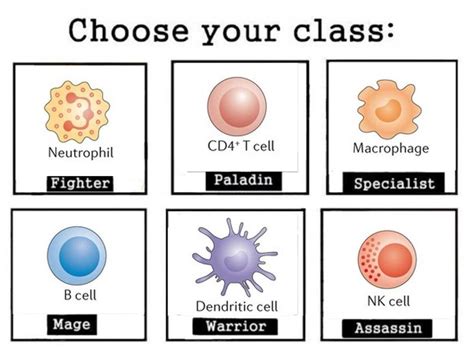 choose your cell class artofit