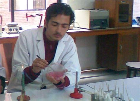 4 Sample Processing In Laboratory Download Scientific Diagram