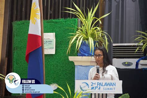 The Da Bfar Has Signified Its Support To The Provincial Government Of Palawan In Realizing The