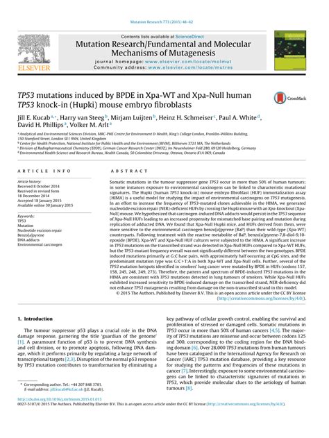 Pdf Tp53 Mutations Induced By Bpde In Xpa Wt And Xpa Null Human Tp53