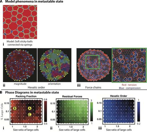 A Model Phenomena In Metastable State I Close Up Of A Quenched