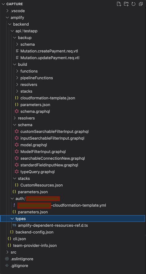 What Is The Expected Folder Structure Files From Amplify Pull · Issue 11691 · Aws Amplify