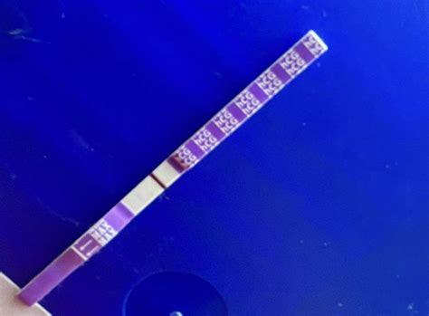 Mama Test 11 Dní Do Menzesu Modrý Koník