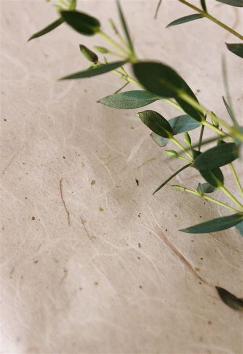 Idémakeriet Flera ägg Och Fint Papper