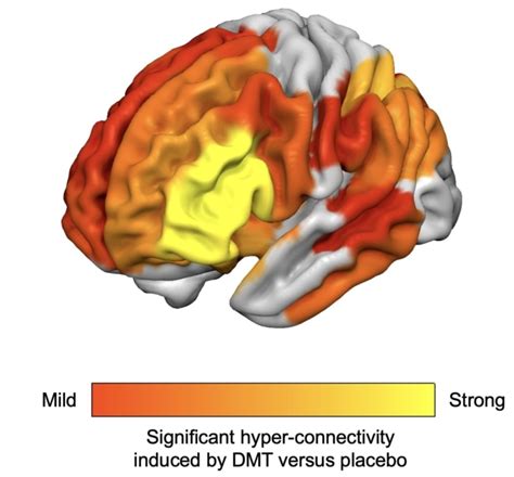 Scientists Reveal How Dmt Affects The Brains Advanced Functions