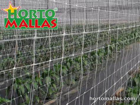 Different Types Of Trellis Netting And Why Hortomallas Leads The Pack