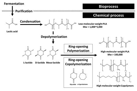 Team Evry Description Pla