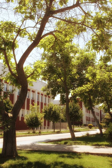 Iit Bombay Campus Photos Download The Best Free Iit Bombay Campus