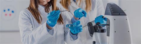 Buffer Tae Tris Acetate Edta Biocellsci