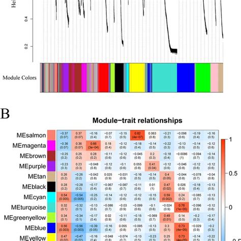 Identification Of Modules Linked To Clinical Features Of Thymoma A