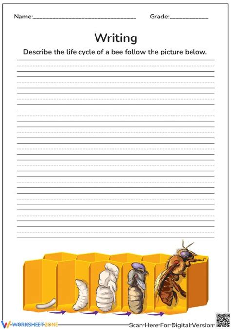 Science Worksheets Writing The Life Cycle Of A Bee Bee Life Cycle