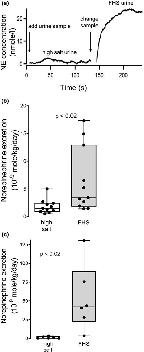 Effects Of Fructosehigh Salt On Urinary Norepinephrine Ne Excretion