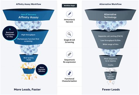 Opto® B Discovery Affinity Assay Bruker Cellular Analysis