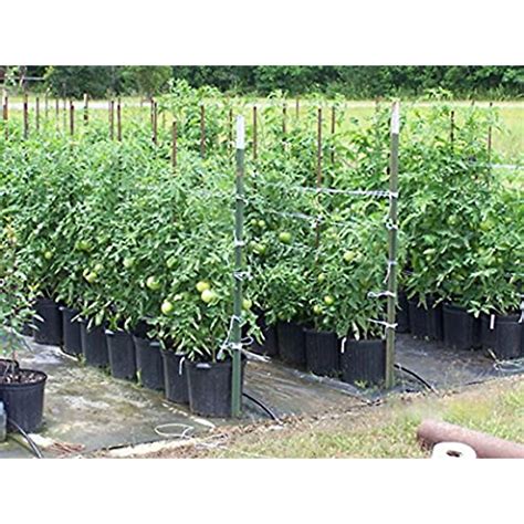 Irrigation Mart 6300ft Tomato Tying Twine For Gardens